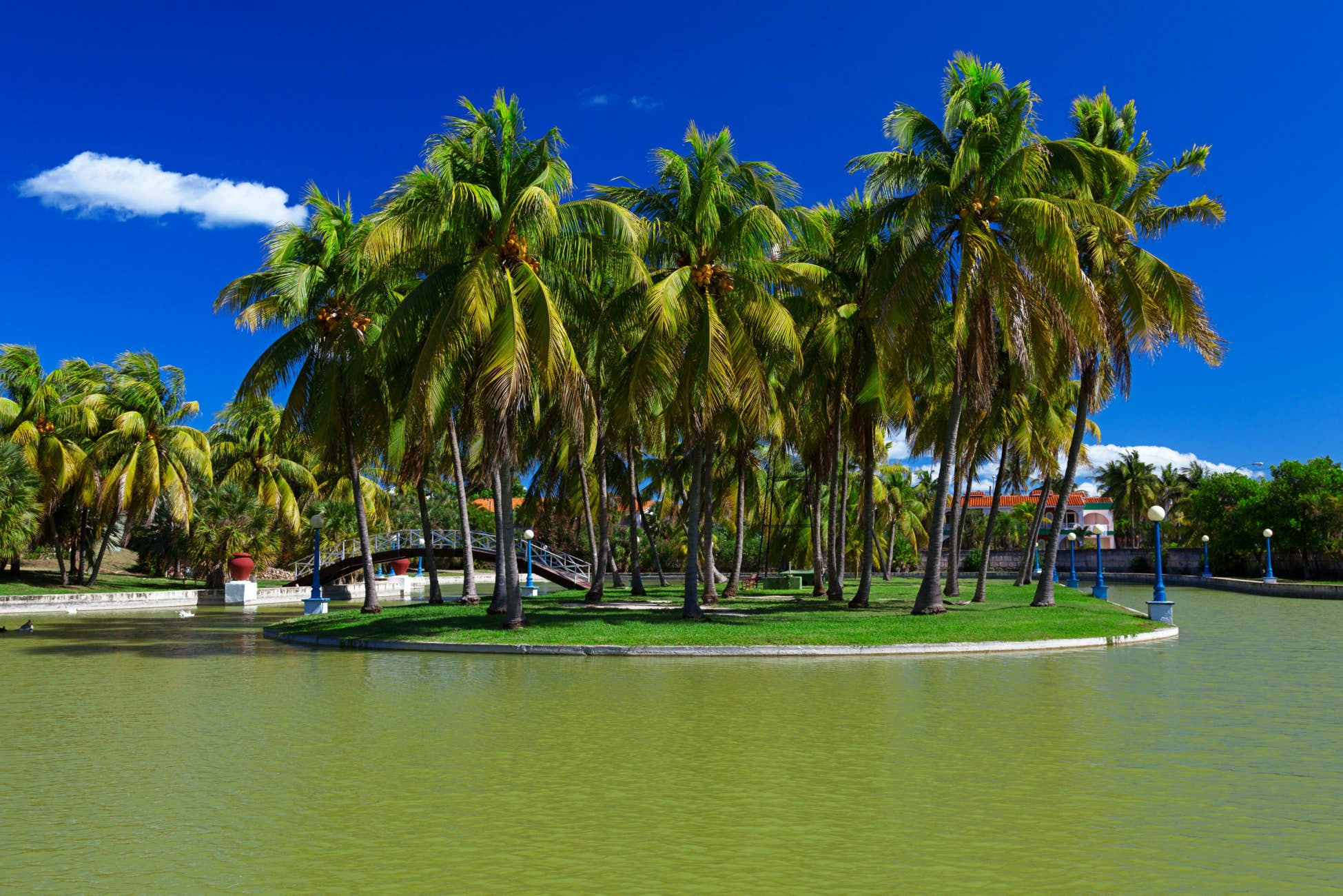 Hotels and Rental Cars in Cuba - Varadero City Tour